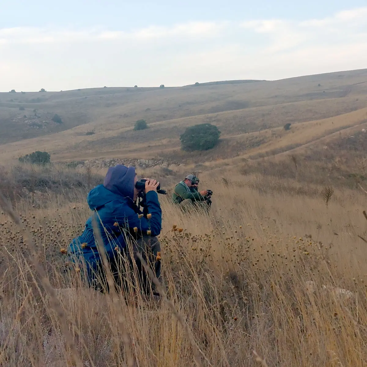 سفرنامه گاوبانگی ۱۴۰۳ - شیردال